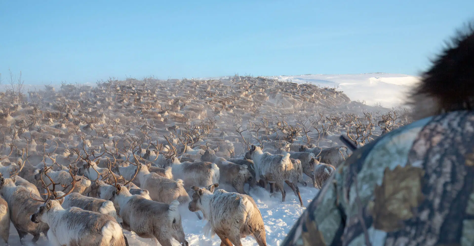 Food Security For Inuvialuit — Inuit Tapiriit Kanatami