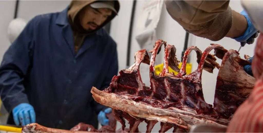 Food Security For Inuvialuit — Inuit Tapiriit Kanatami