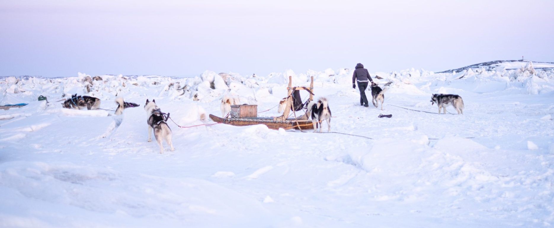Strength from the sled — Inuit Tapiriit Kanatami